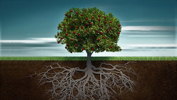 Berakar itu Awal, Berbuah itu Final